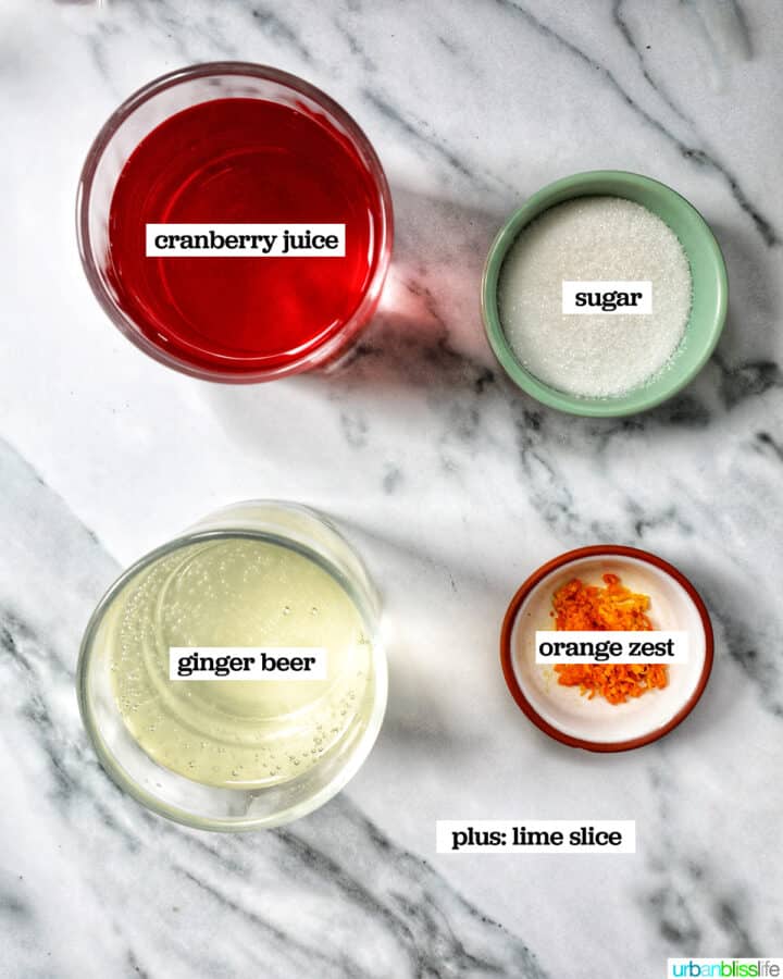 Easy Cranberry Mocktail recipe - Urban Bliss Life