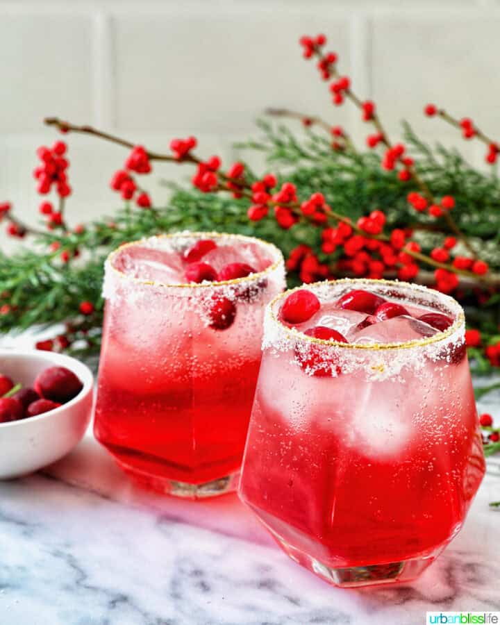 Easy Cranberry Mocktail recipe - Urban Bliss Life