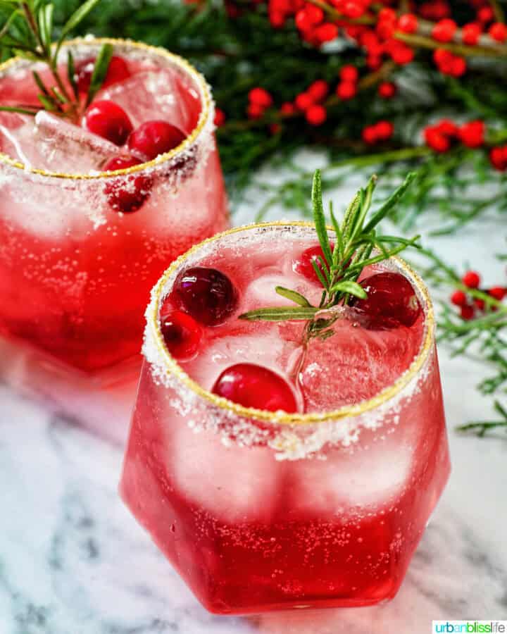 Easy Cranberry Mocktail recipe - Urban Bliss Life