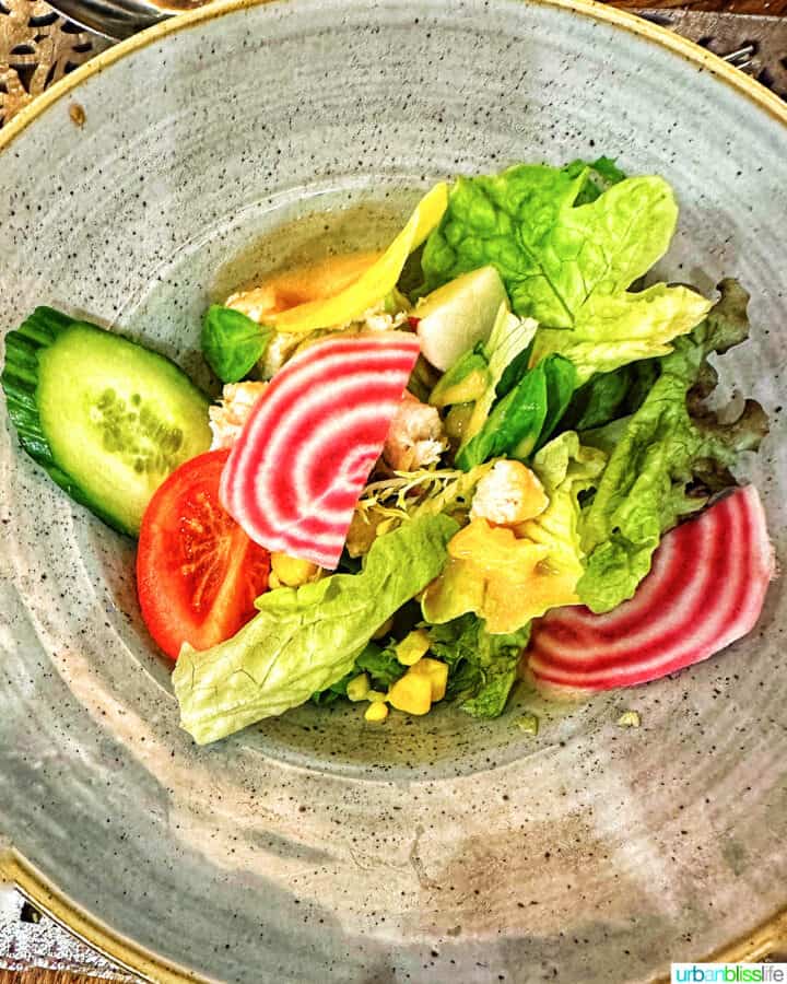 AmaWaterways Review: Food and Drink Onboard Dining - Urban Bliss Life