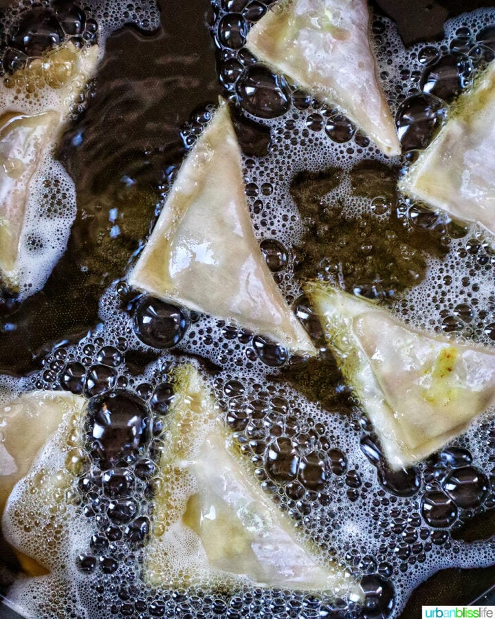 Curry Samosas - Urban Bliss Life