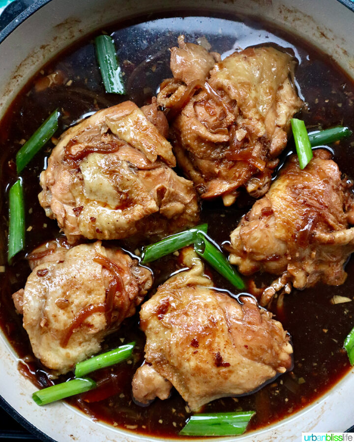Chinese Braised Chicken - Urban Bliss Life