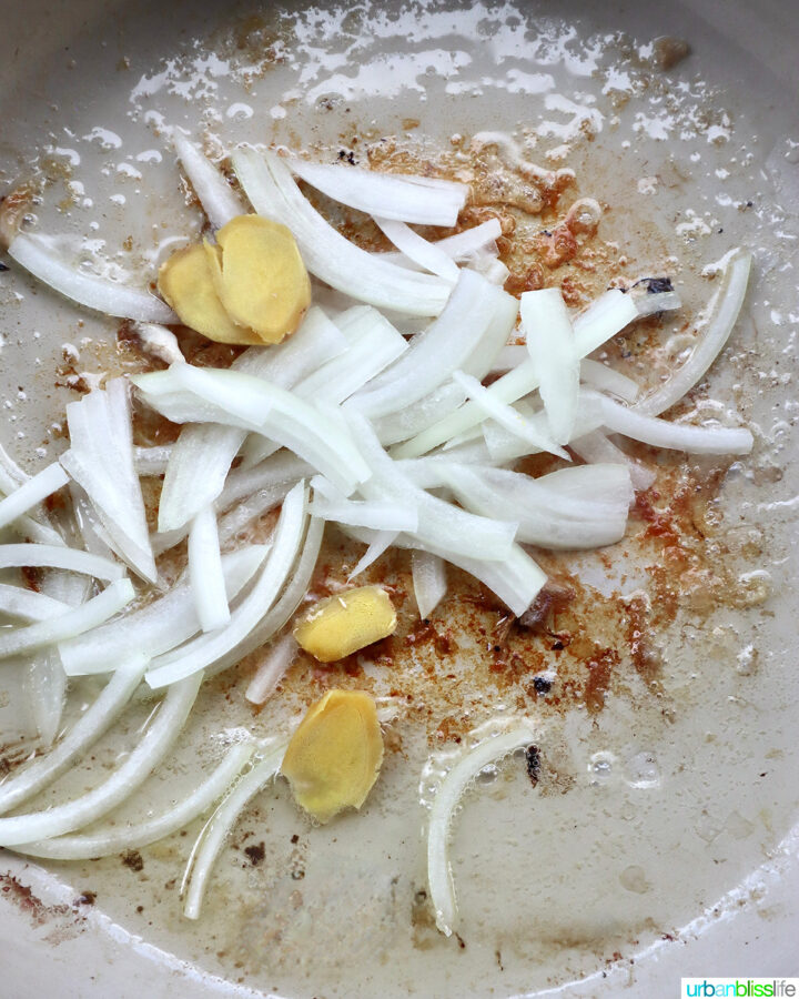 Chinese Braised Chicken - Urban Bliss Life
