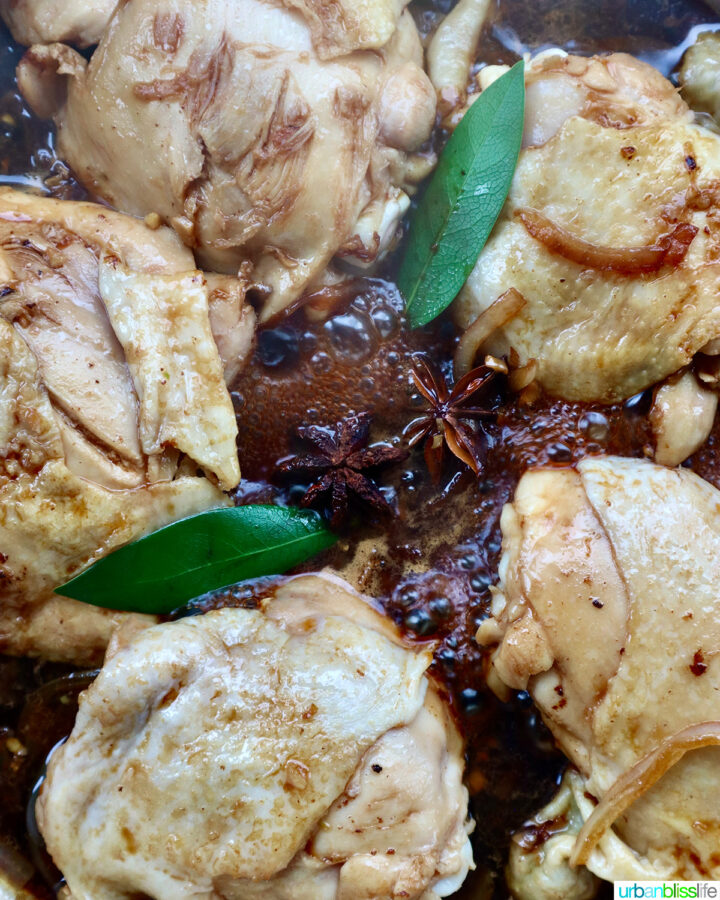 Chinese Braised Chicken - Urban Bliss Life