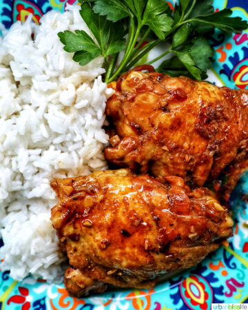 Chinese Braised Chicken - Urban Bliss Life