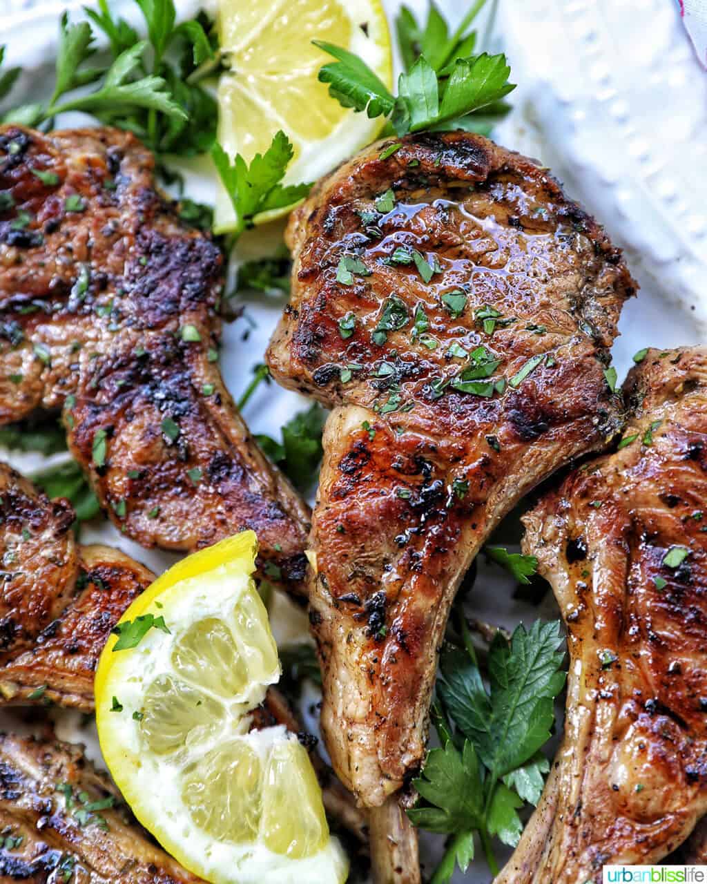 Greek Lamb Chops - Urban Bliss Life