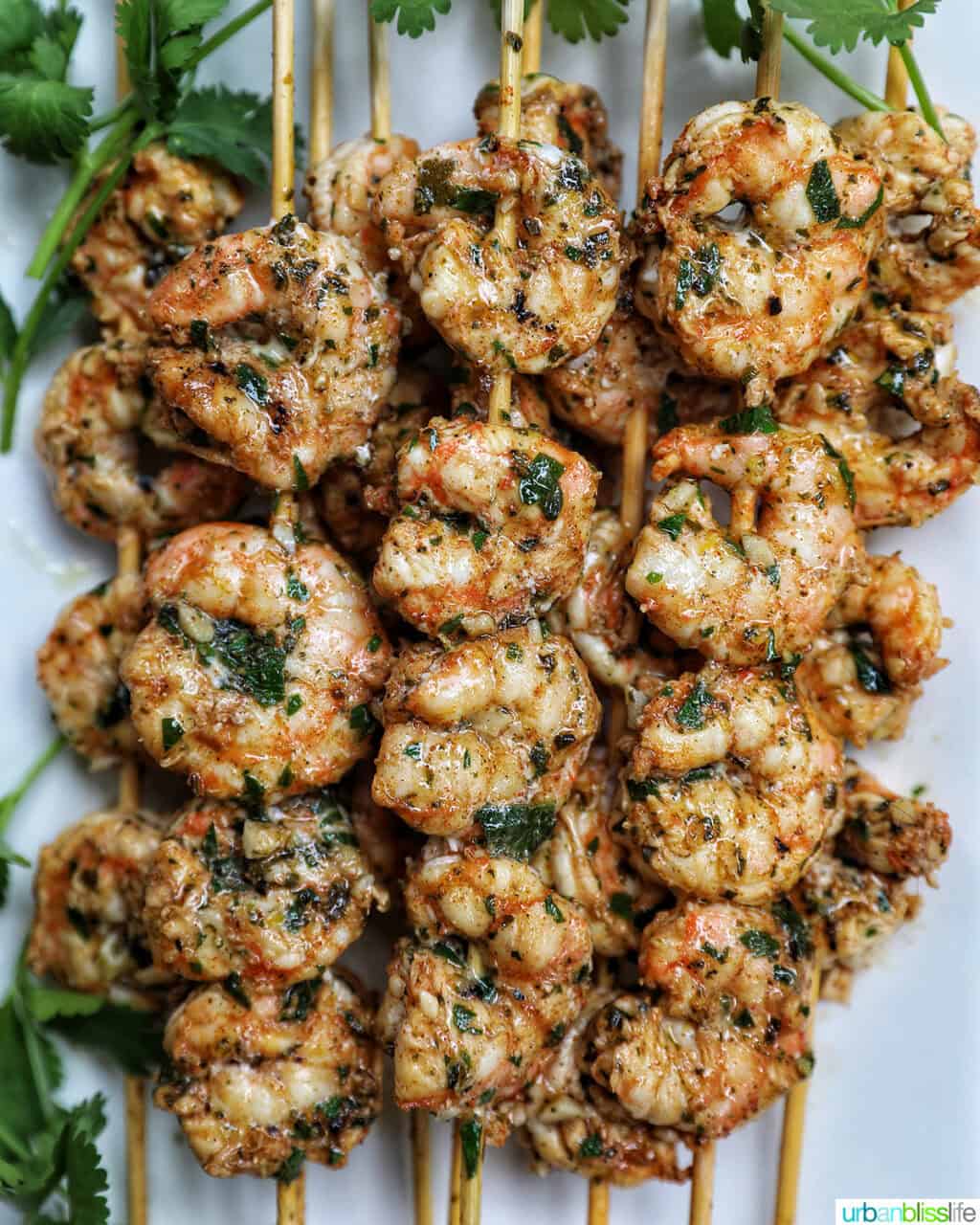 Prawn BBQ Skewers - Urban Bliss Life