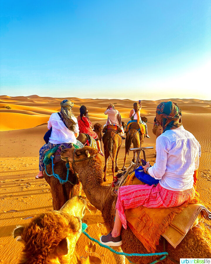 Sahara Desert in Morocco Travel Guide - Urban Bliss Life