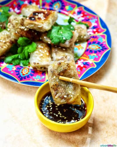 Crispy Rice Paper Dumplings - Urban Bliss Life